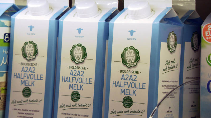 Protéine : Définition, Importance, Carences